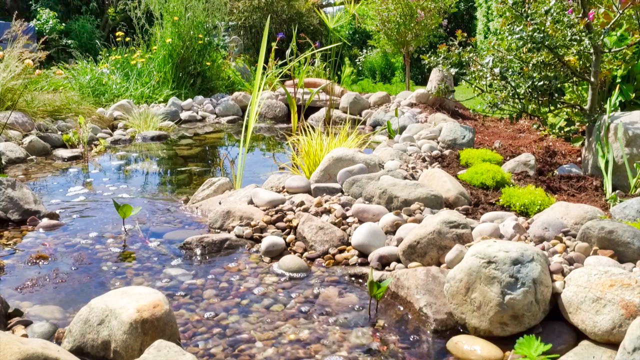 Expert Water Features Design & Install Devon - Pond Man